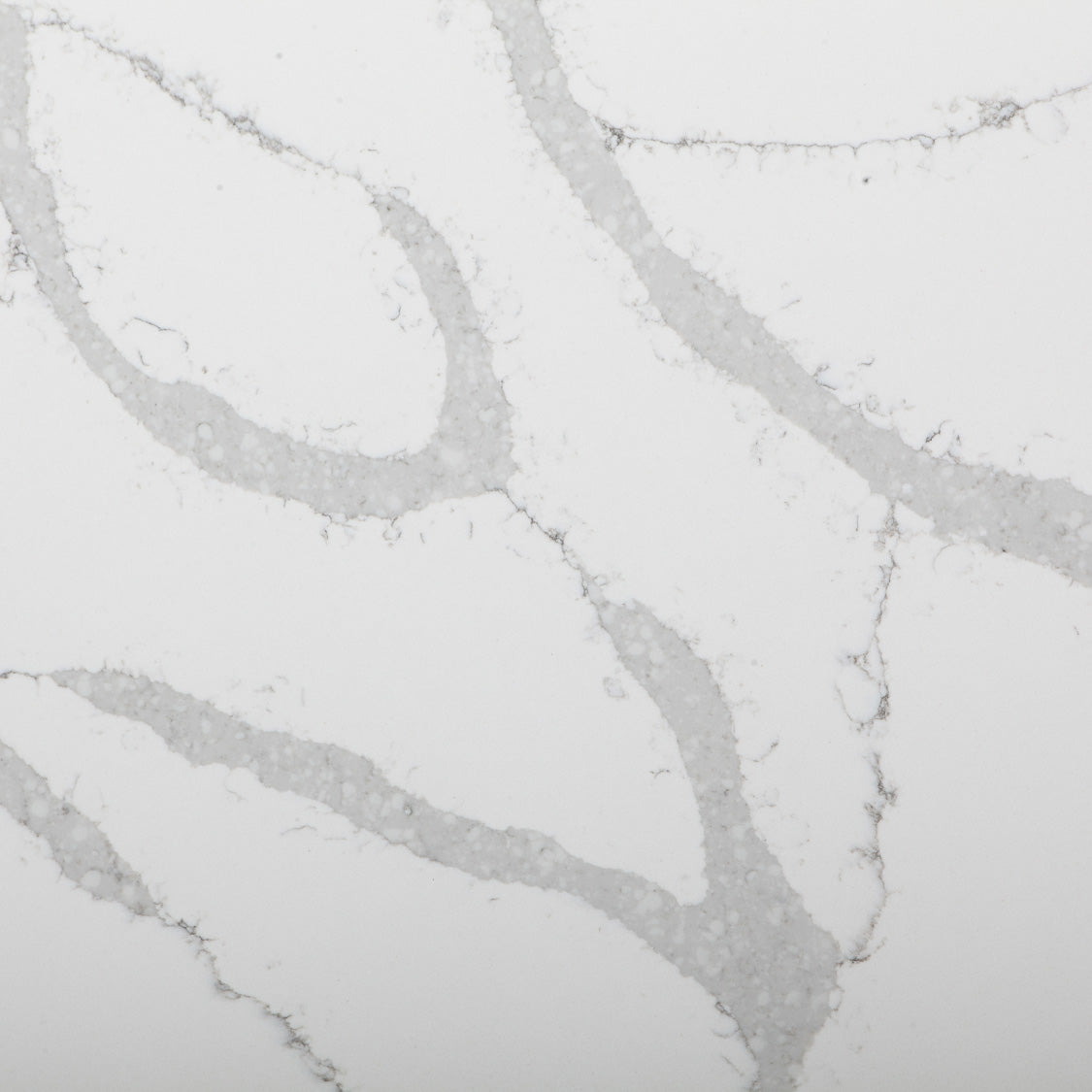 Calacatta Classic 200x100(mm) Sample – Stokes Granite